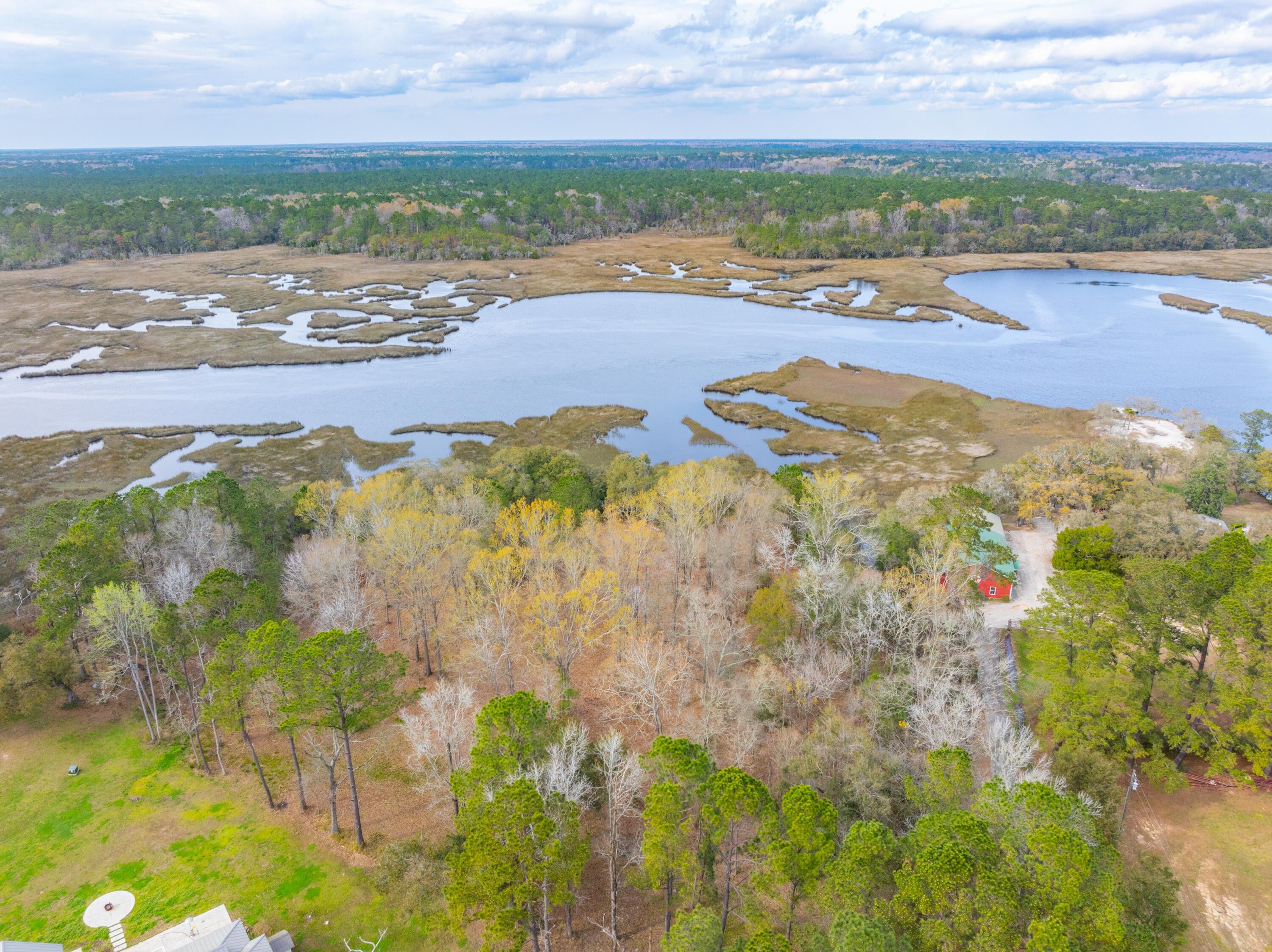 9.06 Acres, 0 Champneys Lane, Ravenel, SC 29470 | Land and Farm