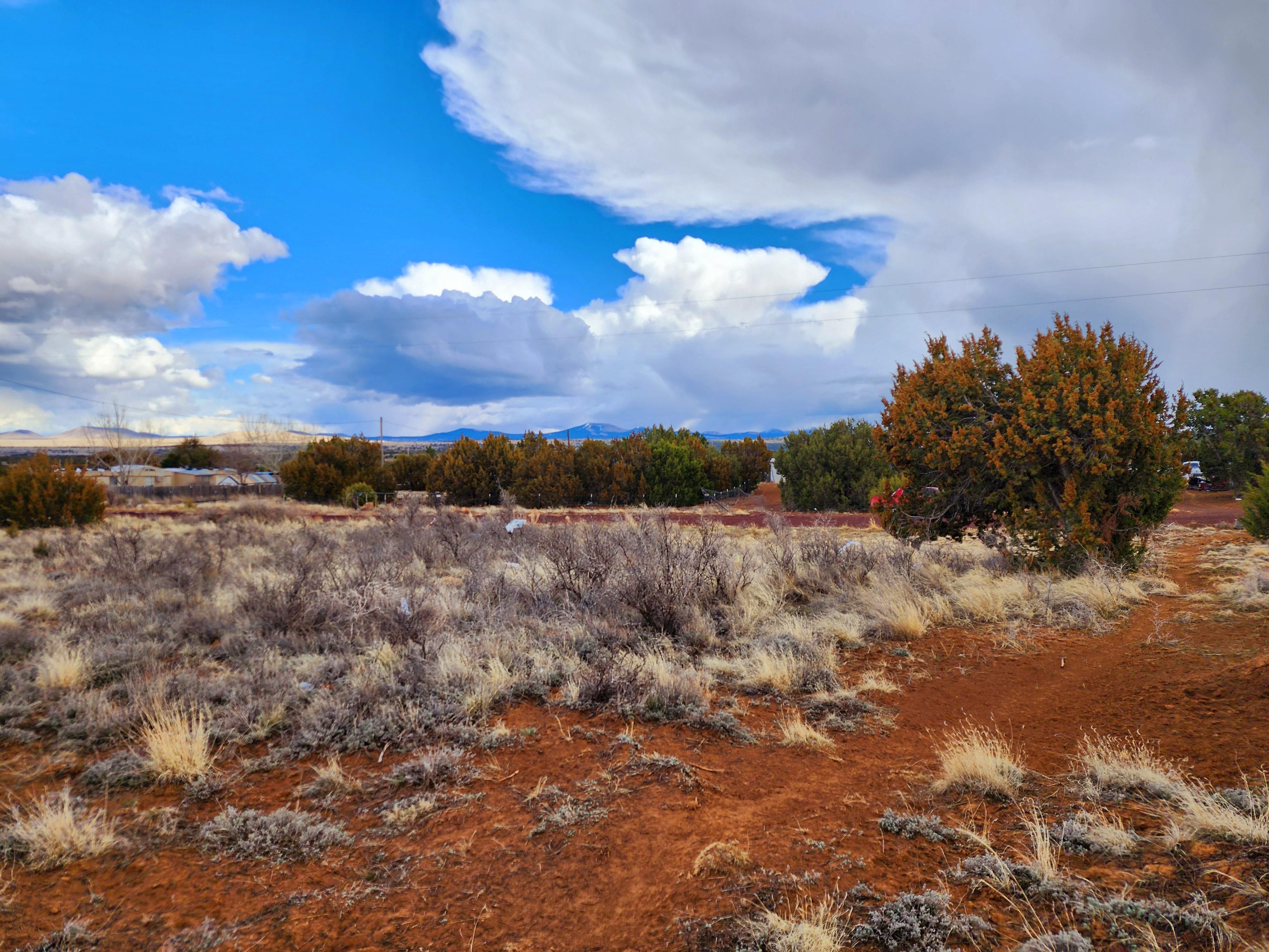 43 meadow, Concho, AZ 85924 | Land and Farm