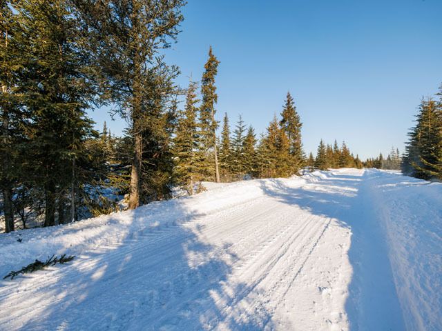 1 Acres, Gateway Rd, Anchor Point, AK 99556 | Land and Farm