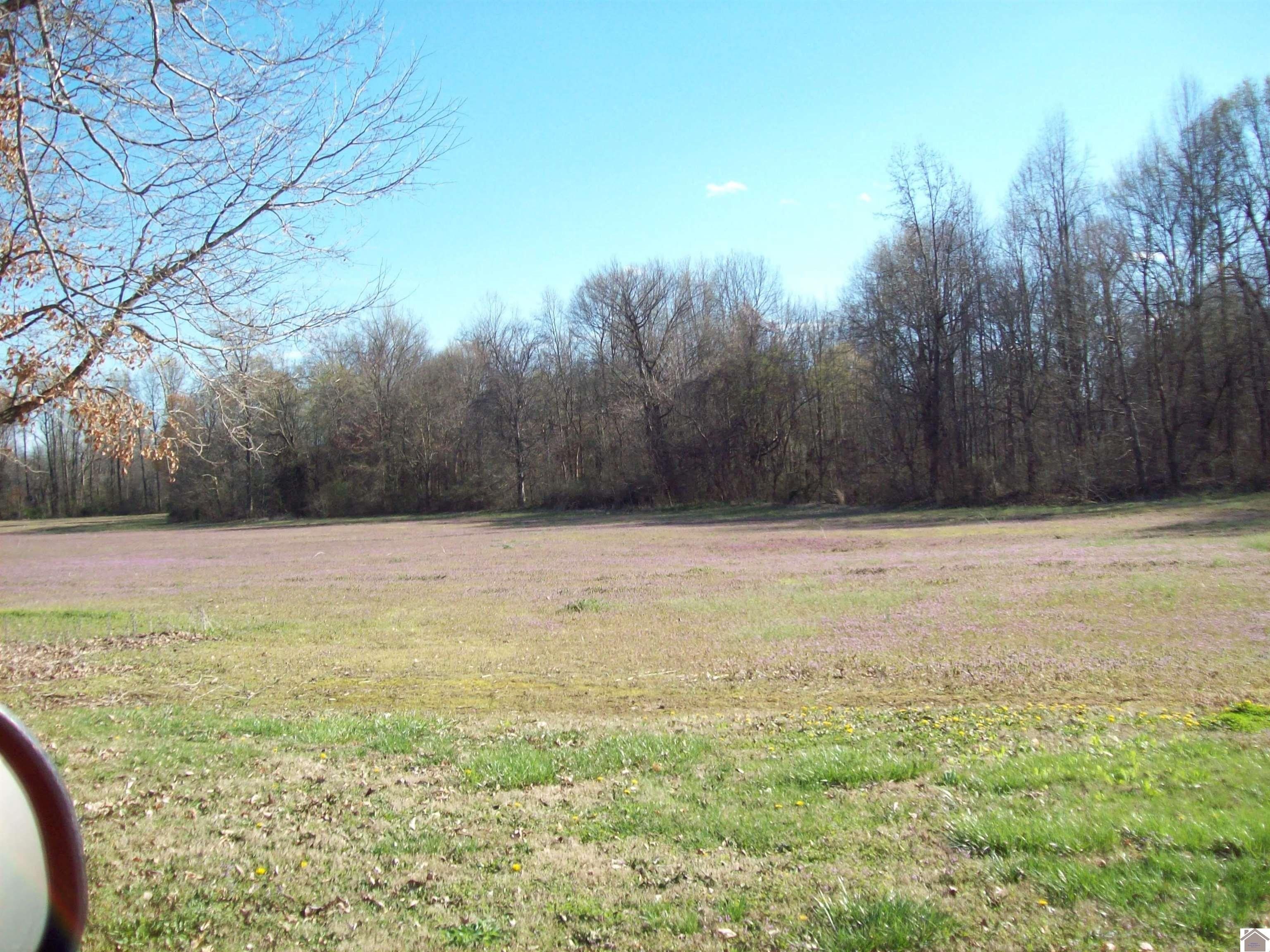 1061 Us Hwy 62, Bardwell, KY 42023 | MLS: 125987 | Land and Farm