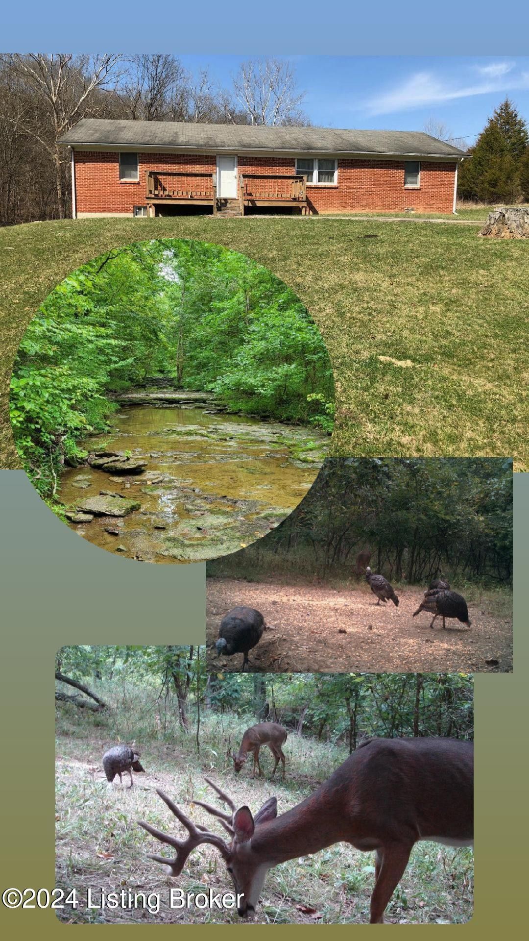 1743 Albert Moore Rd, Lockport, KY 40036 | MLS: 1656751 | Land and Farm