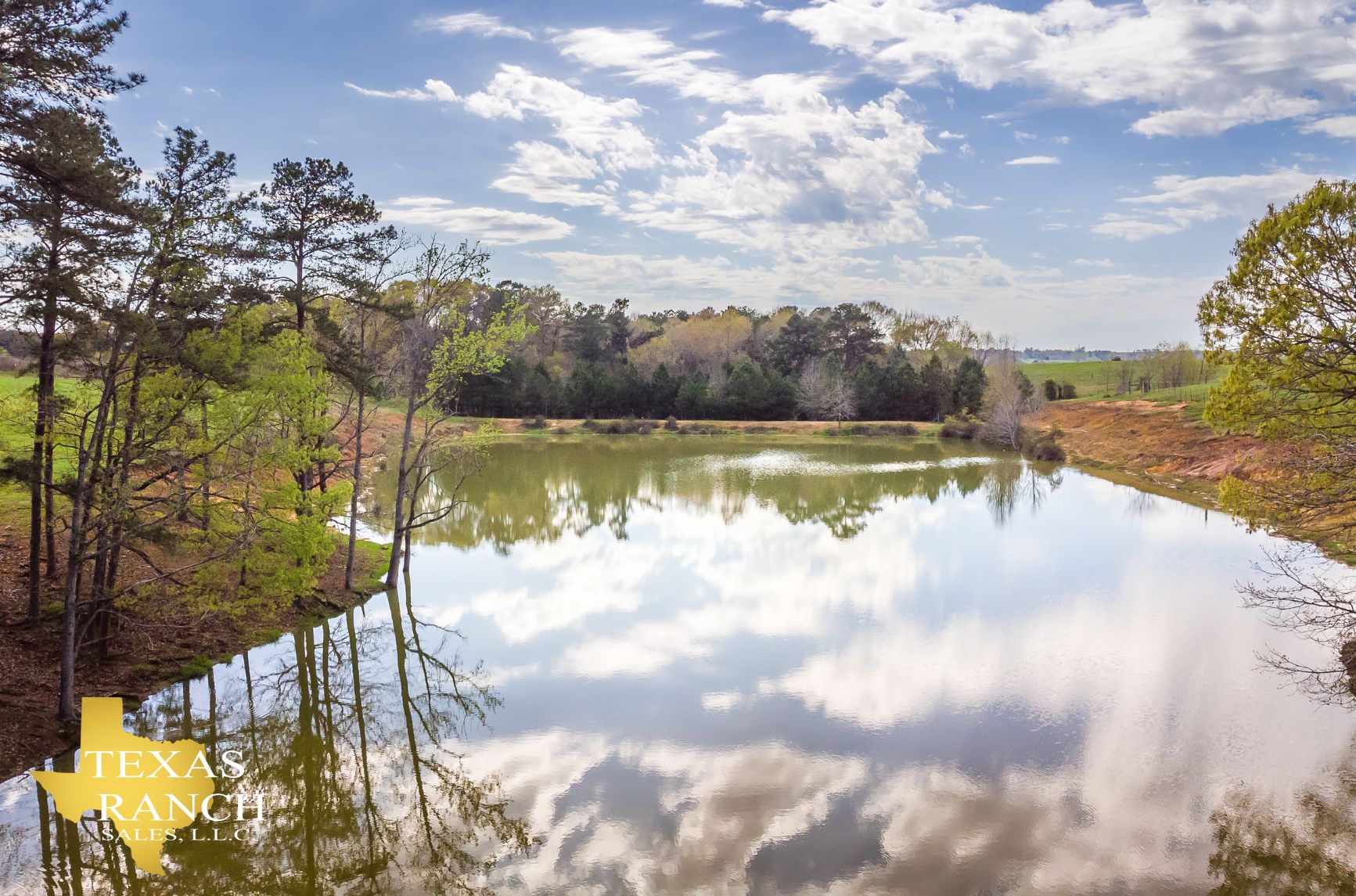 800 acres in Center, TX, 75935 | Land and Farm