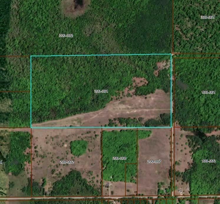 TBD LECHOWICZ, Pellston, MI 49769 | MLS: 473282 | Land and Farm