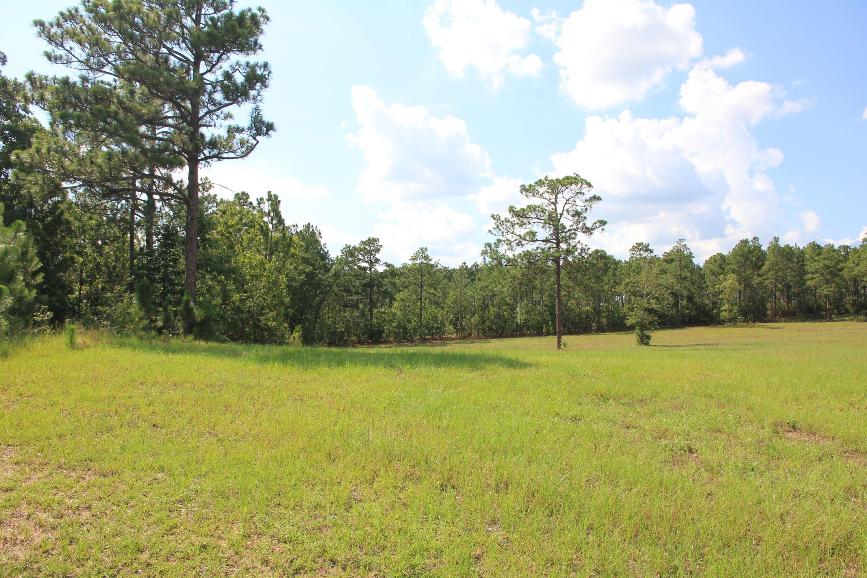 4.23 Acres, Lot 4 Wood'S End Way, Aiken, SC 29803 | Land and Farm