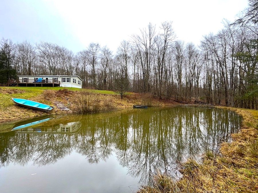 8243 Rt 40, Bolivar, NY 14715 | MLS: 11260898 | Land and Farm