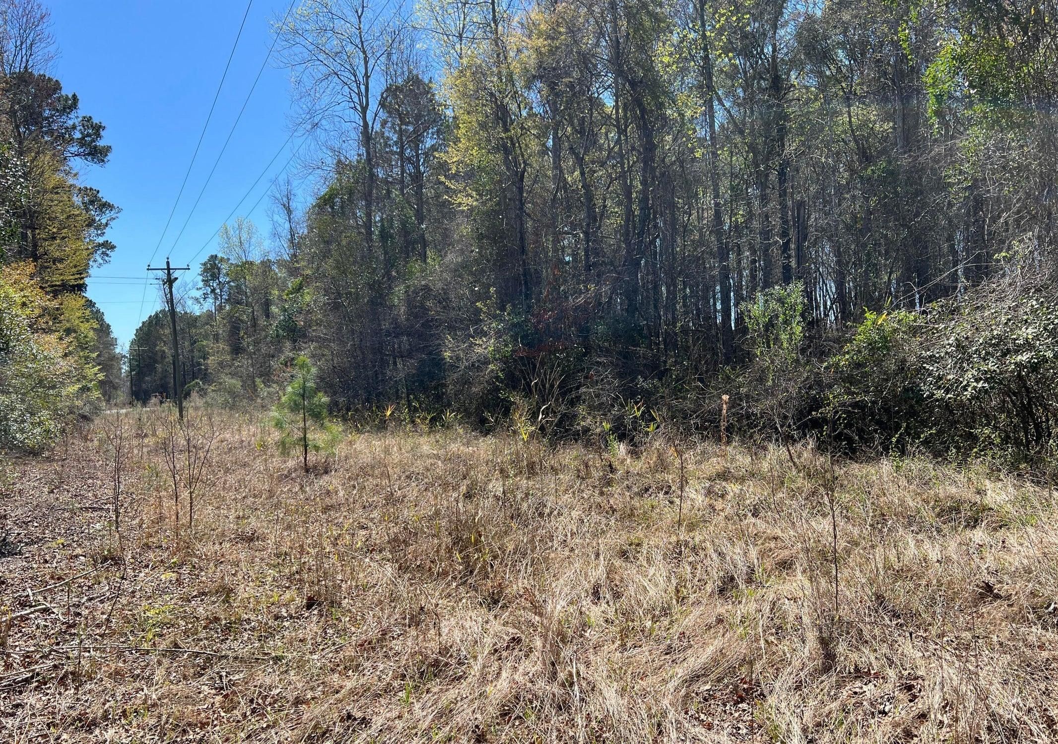 Lot #0 SR 1736, Bath, NC 27808 | MLS: 100434375 | Land and Farm