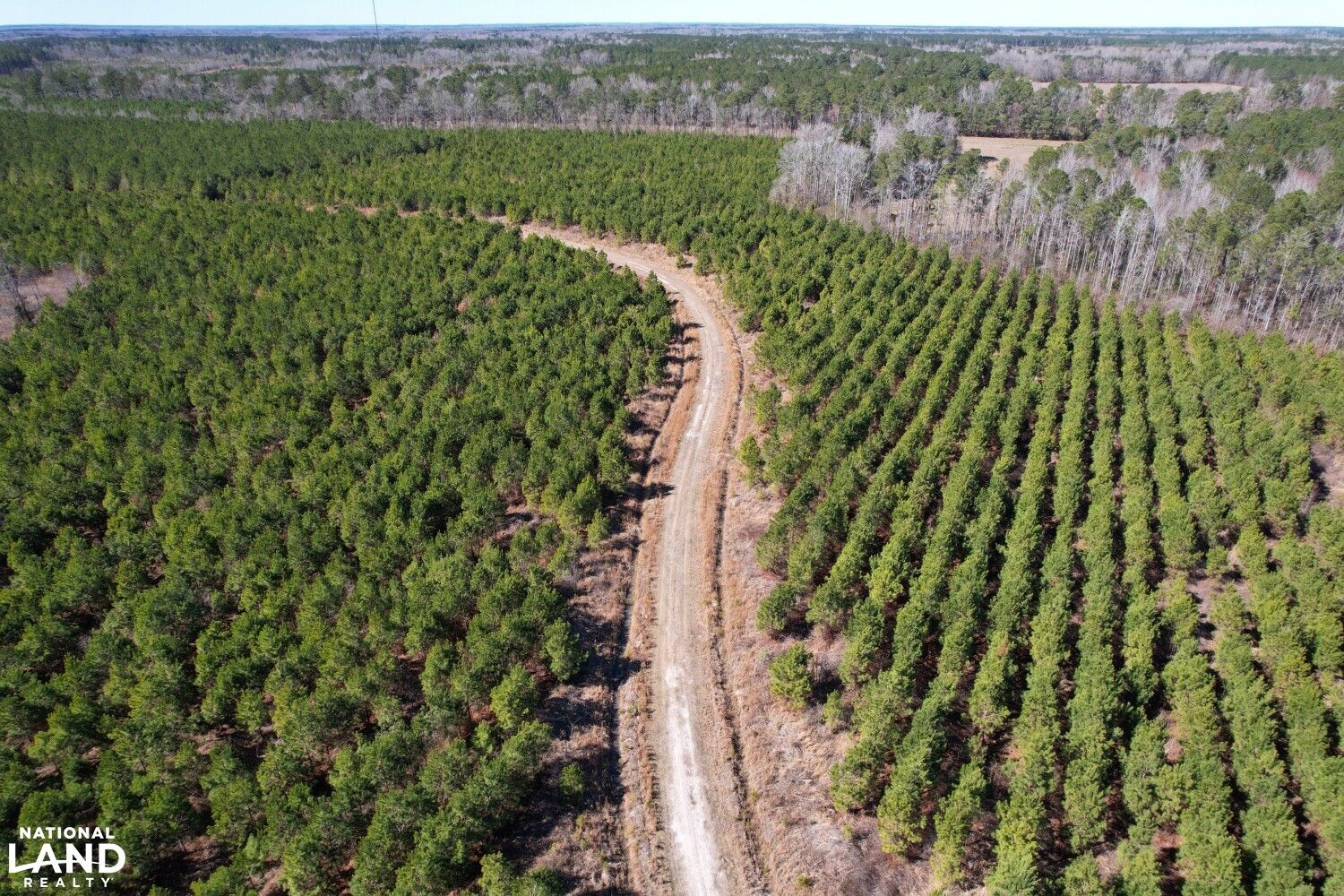 0 Neighborhood Road, Mayesville, SC 29104 | Land and Farm