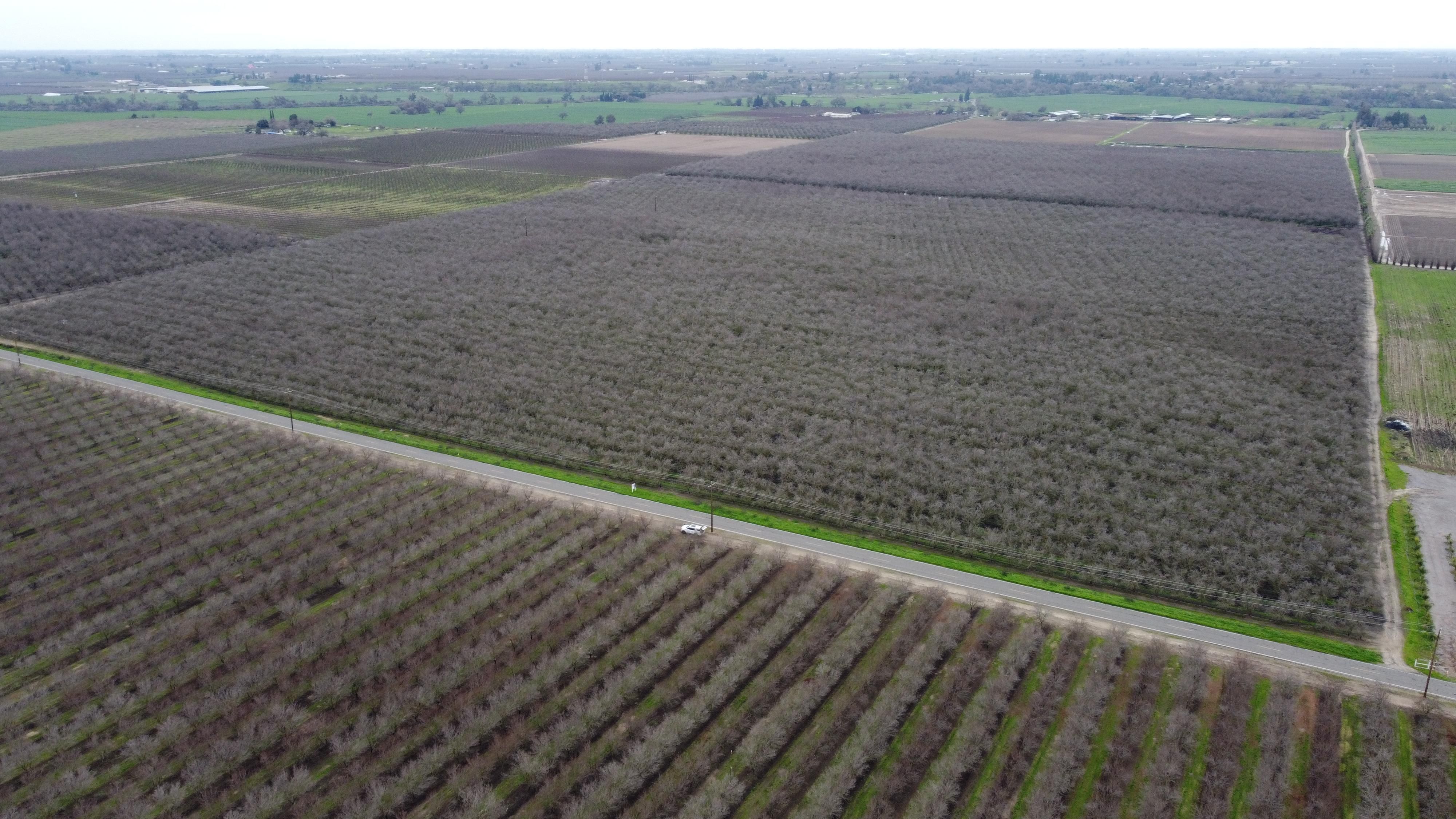 135.2 Acres, 10001 Bradbury Road, Ballico, CA 95303 | Land and Farm