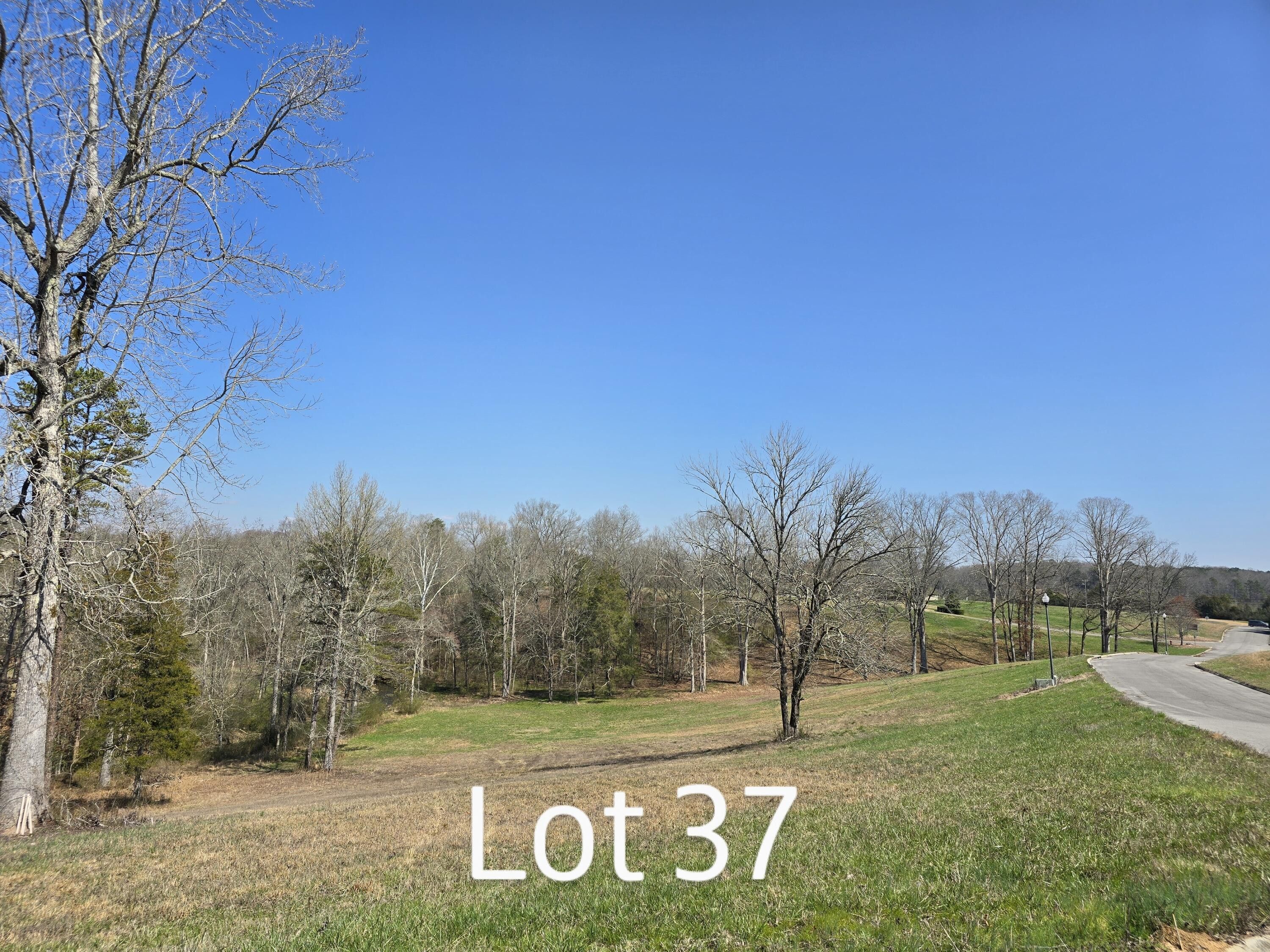 Lot 37 Bear Creek Road, Birchwood, TN 37308 | MLS: 20205608 | Land and Farm