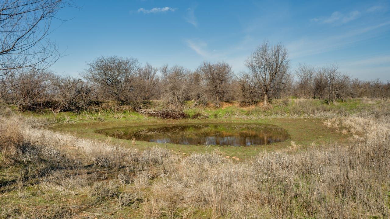 FM 810, Petrolia, TX 76377 | Land and Farm