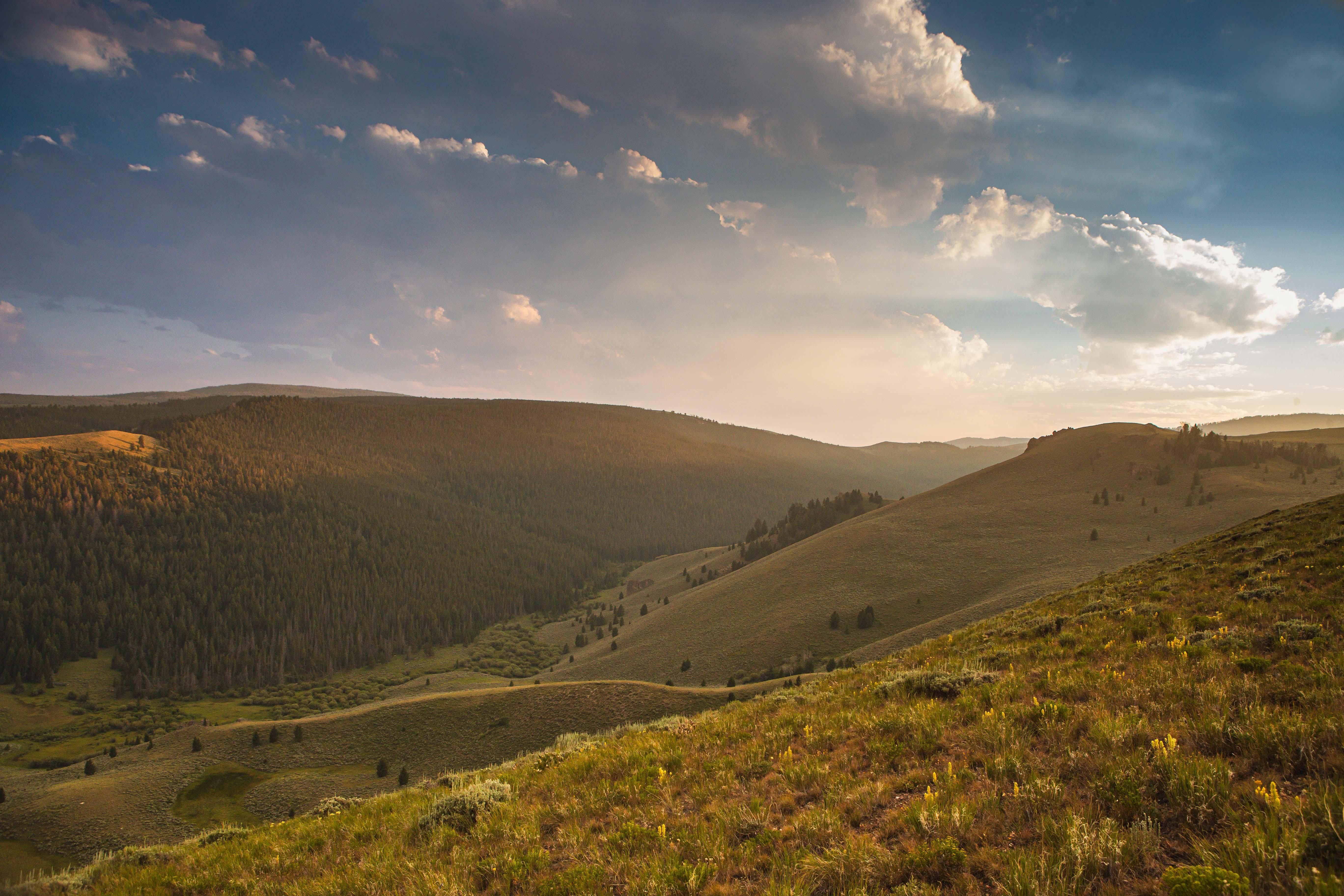 31420 Montana 324, Dillon, MT 59725 | MLS: 390438 | Land and Farm