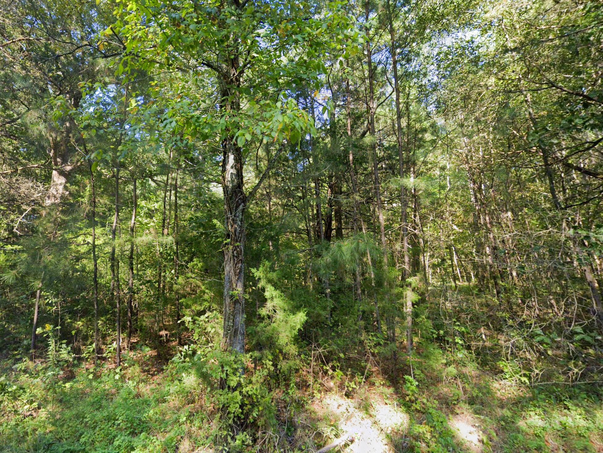 Big Horn Rd, Freeman, VA 23856 | Land and Farm