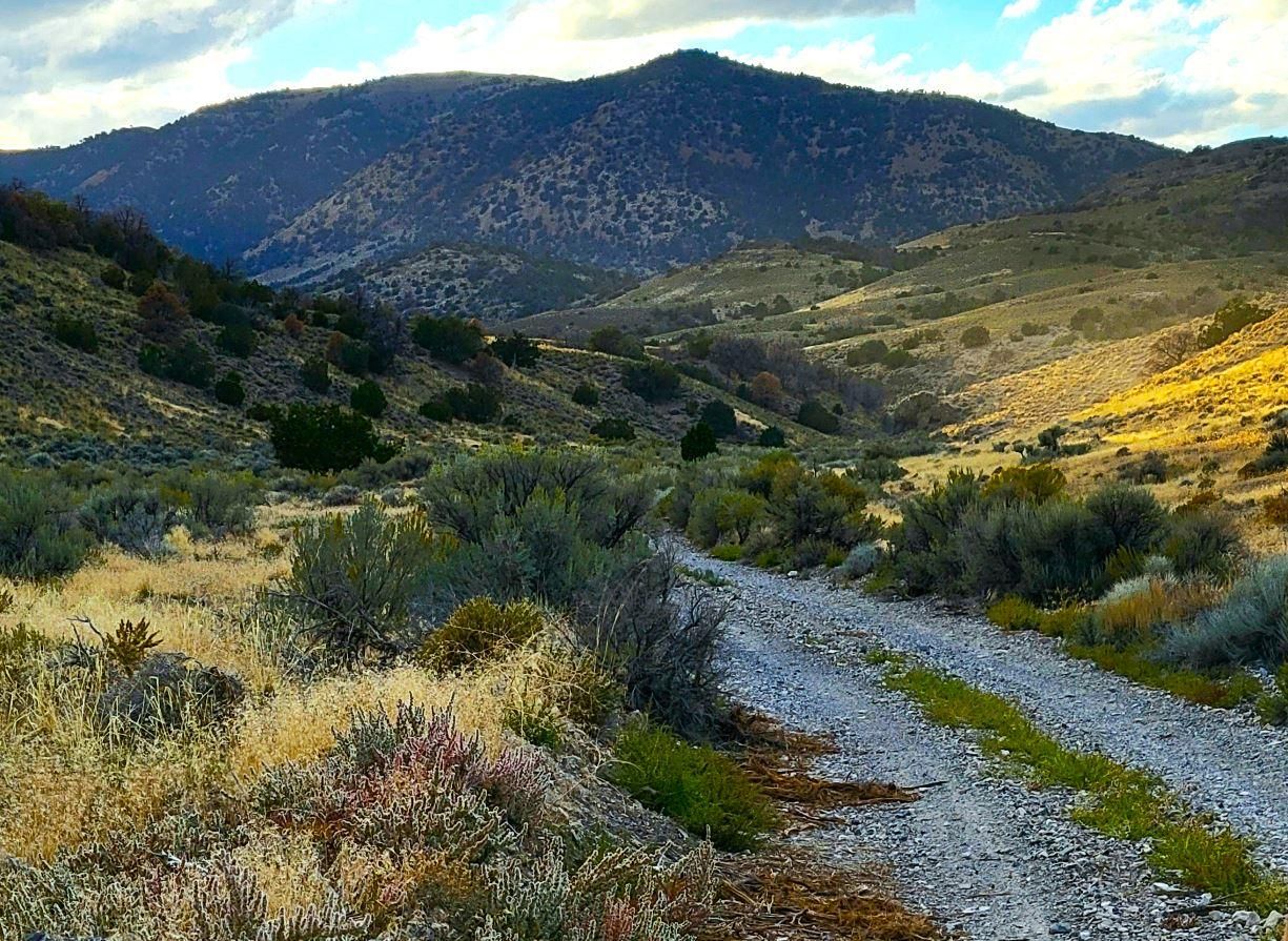 10 Acres, Montello, NV 89830 | Land and Farm