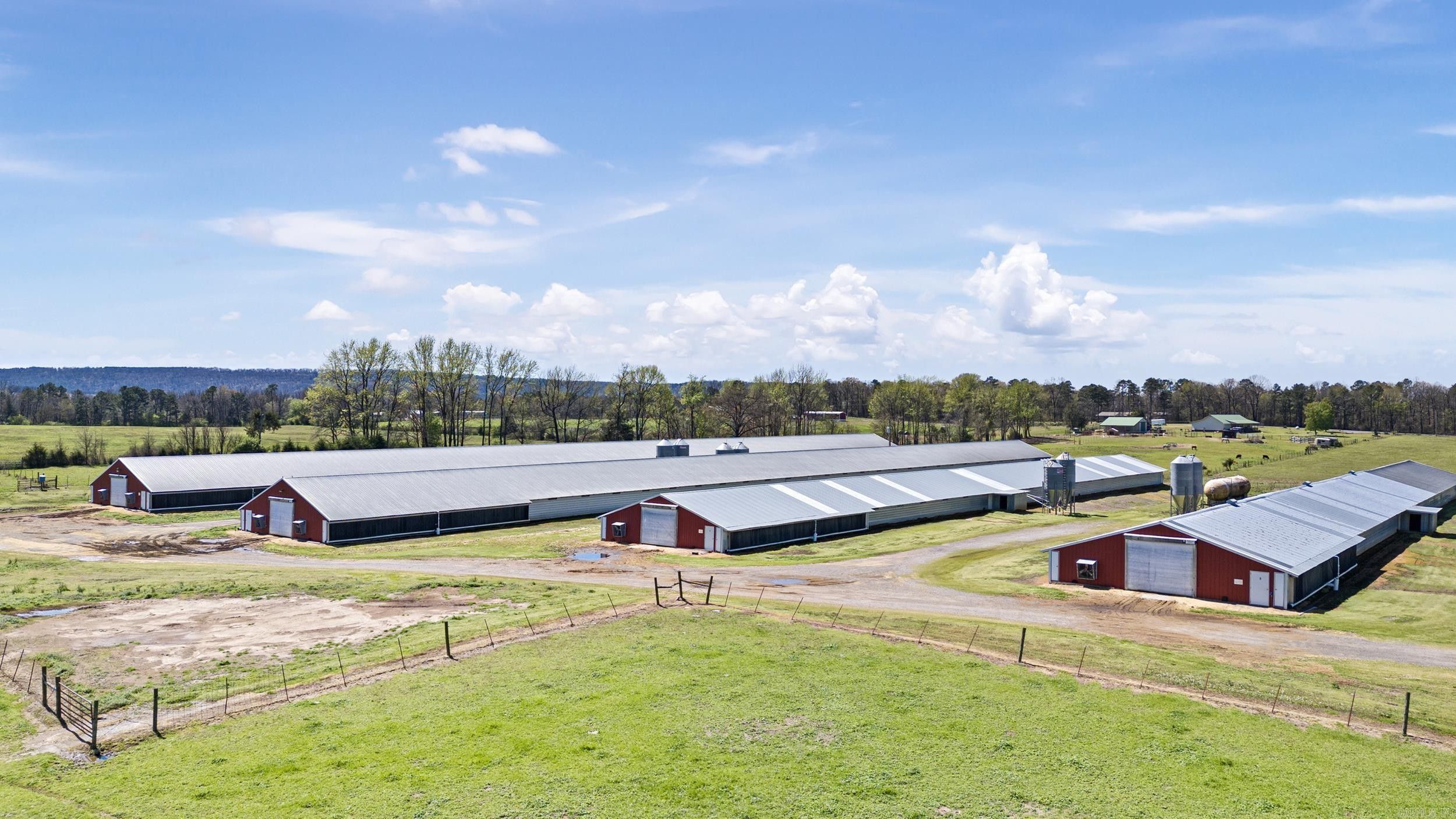 62 Acres, 217 Cedar Grove Rd, Hector, AR 72843 | Land and Farm