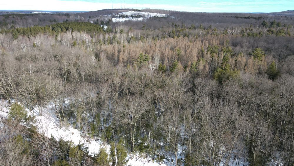 000 Nelson Avenue, Irma, WI 54442 | MLS: Lincoln 20 | Land and Farm