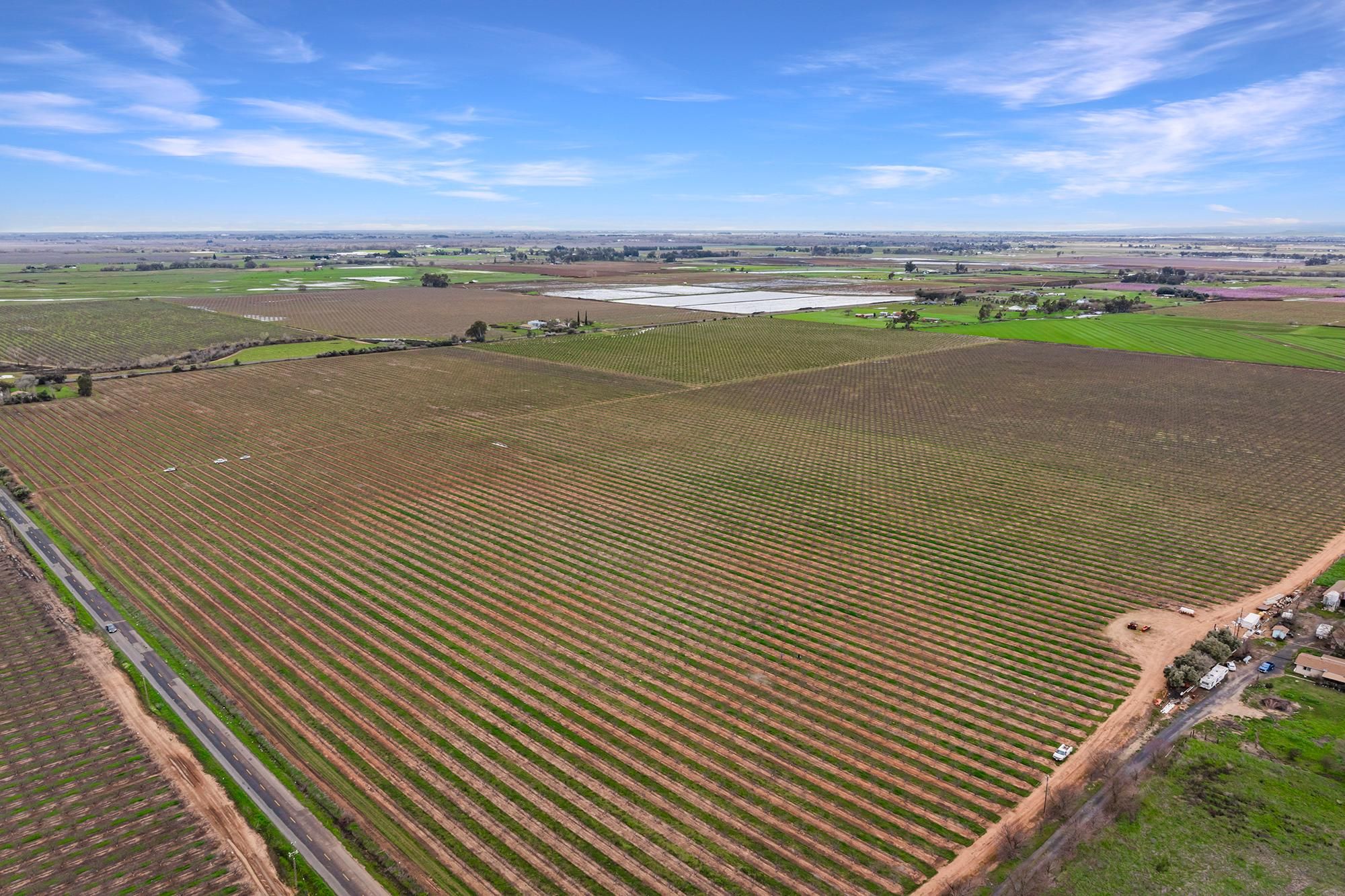 Lone Tree Road, Palermo, CA 95965 | MLS: 224034701 | Land and Farm
