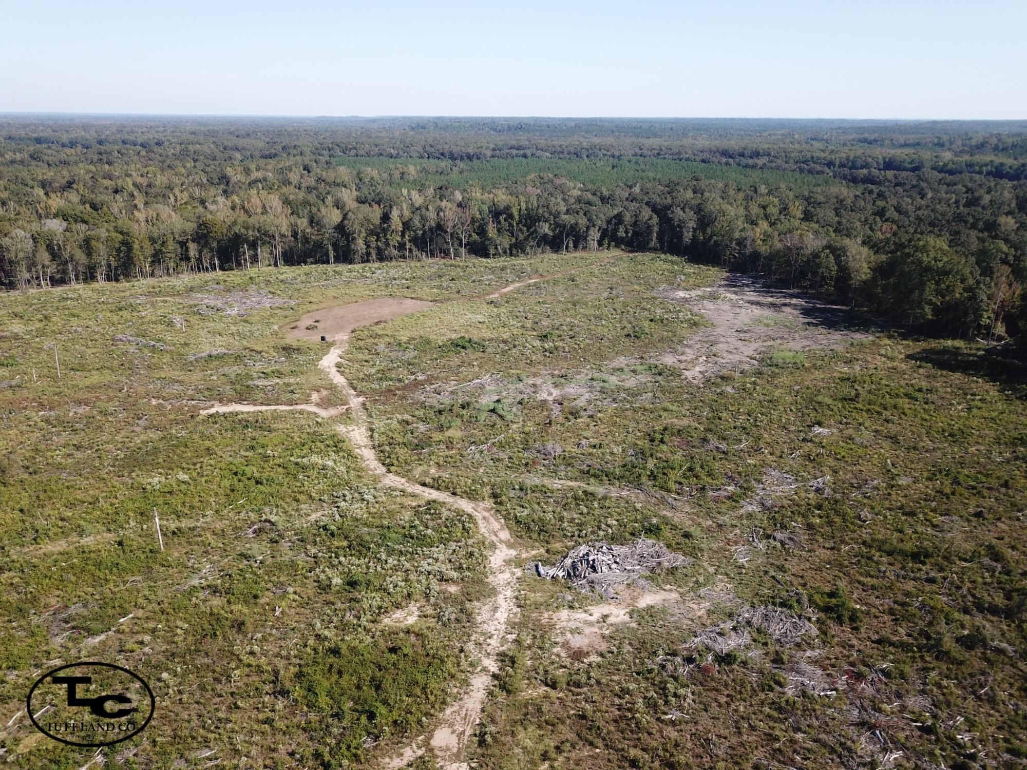 102.5 acres in Morvin, AL, 36784 | Land and Farm