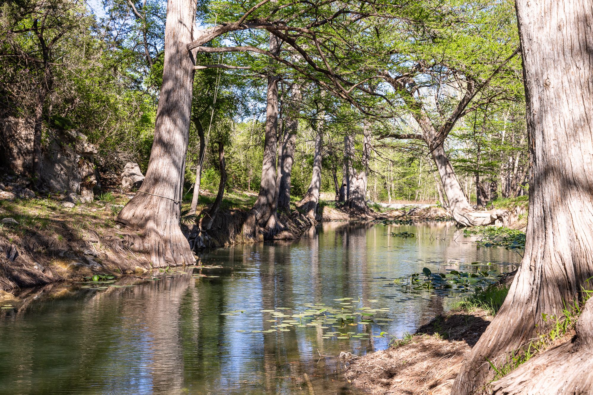 190 Richter Road, Boerne, TX 78006 | Land and Farm