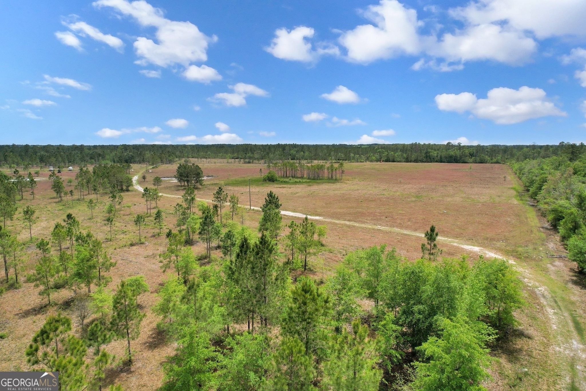 0 Humpback, Hortense, GA 31543 | MLS: 10281697 | Land and Farm