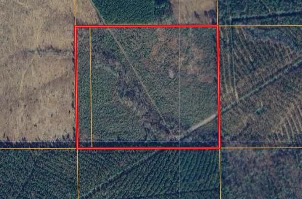 40 acres in Plain Dealing, LA, 71064 | Land and Farm
