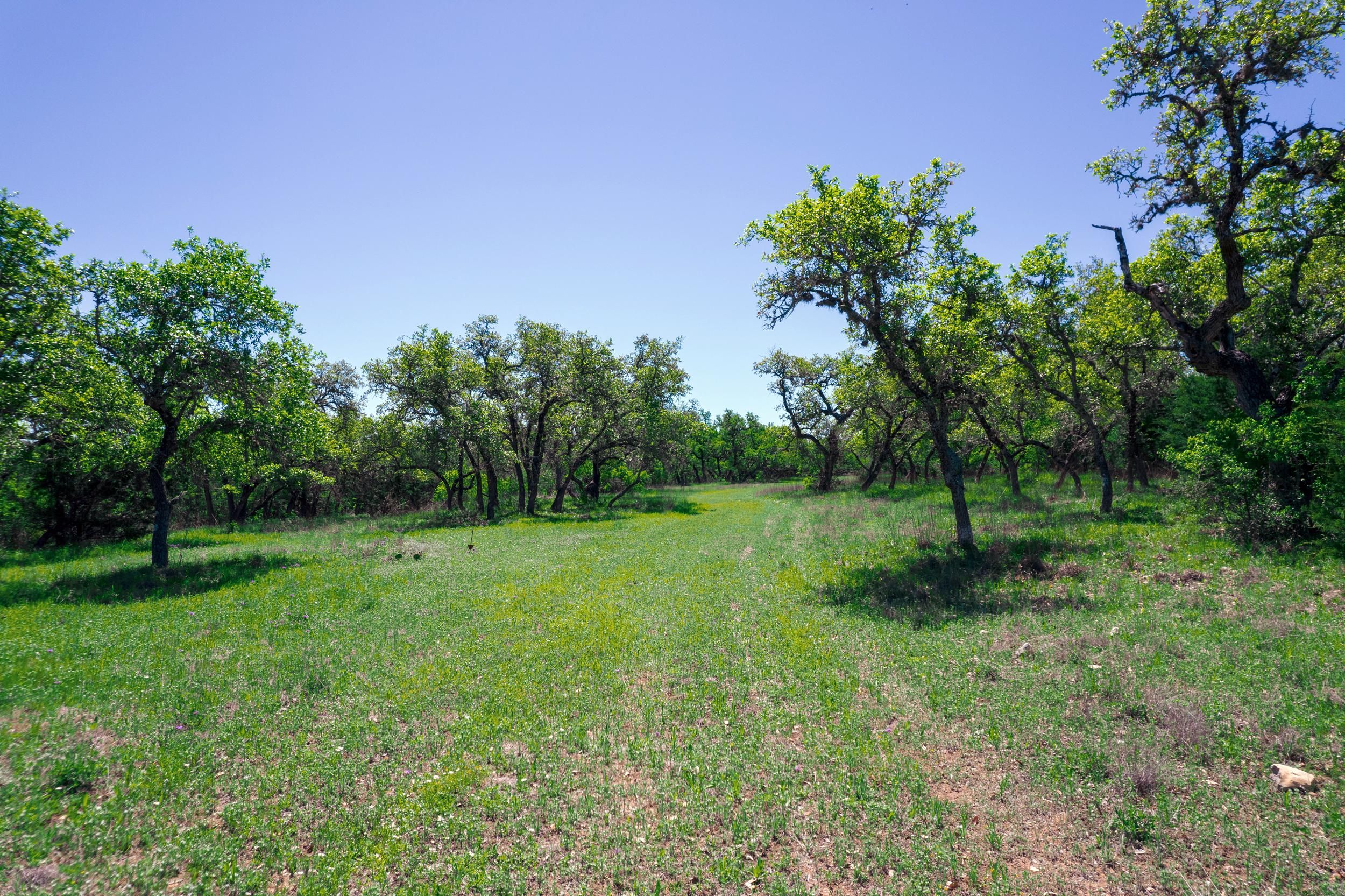 210 Acres, 149 FM1621, Comfort, TX 78013 | Land and Farm