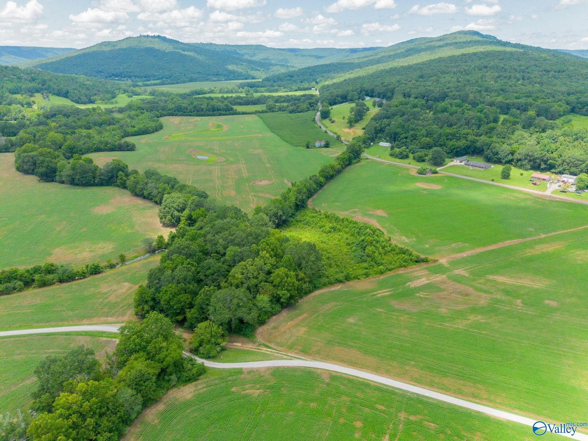 65 Acres, 65 Acres County Road 4, Hollytree, AL 35751 | Land and Farm