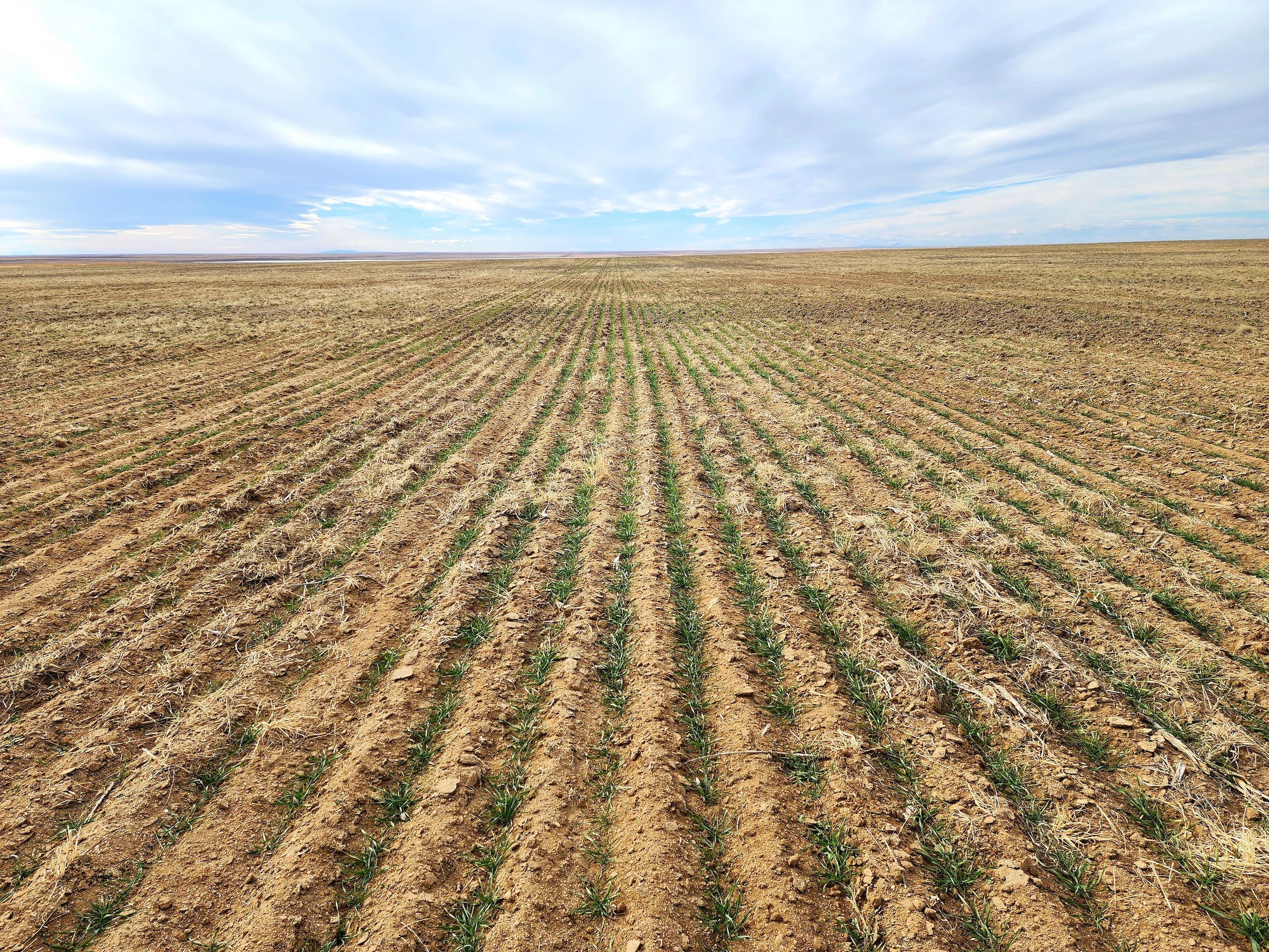 County Road 22, Lot#WP001, Haswell, CO 81045 | Land and Farm