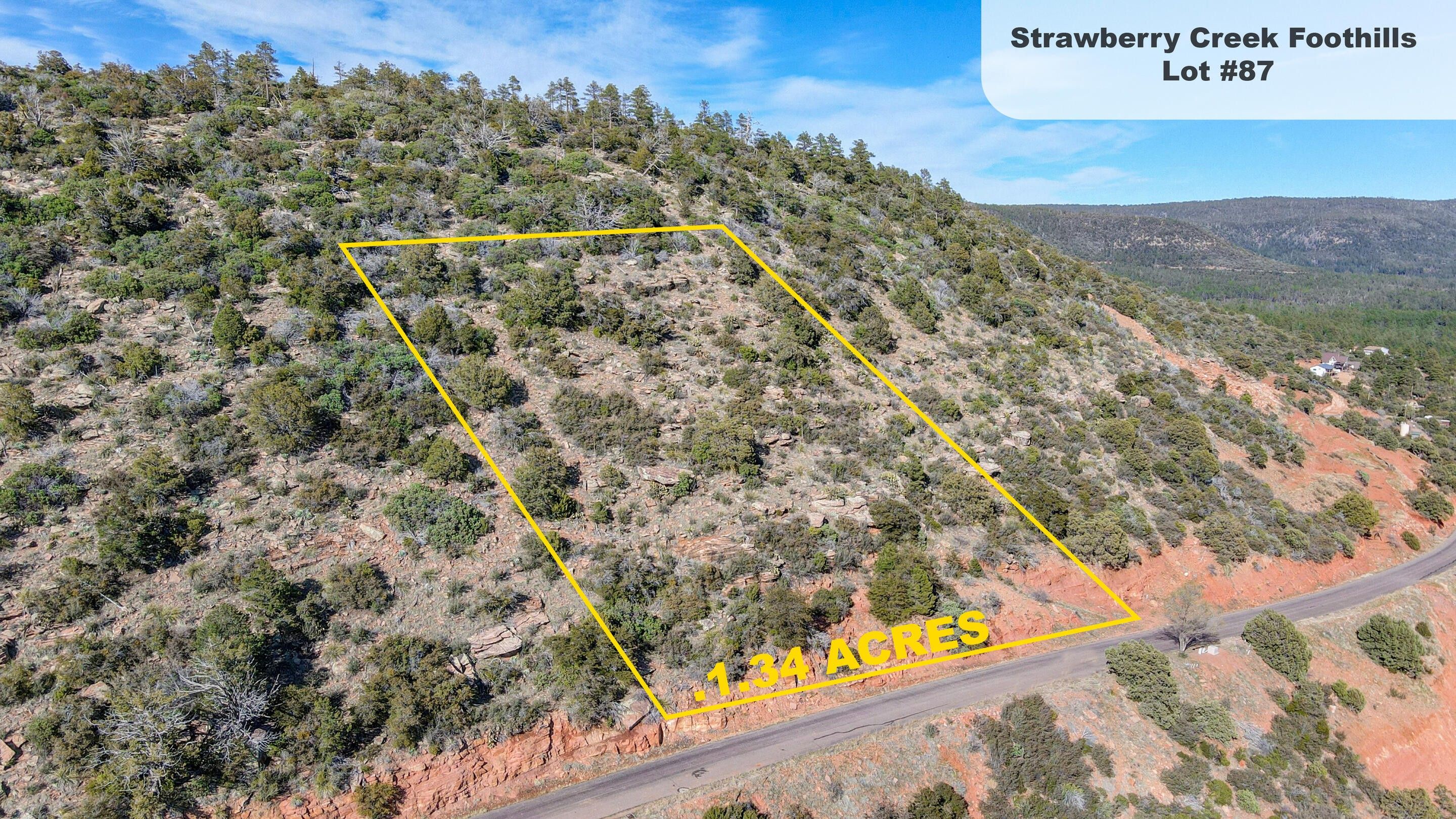 Lot 87 Strawberry Creek Foothills, Strawberry, AZ 85544 | MLS: 89948 ...