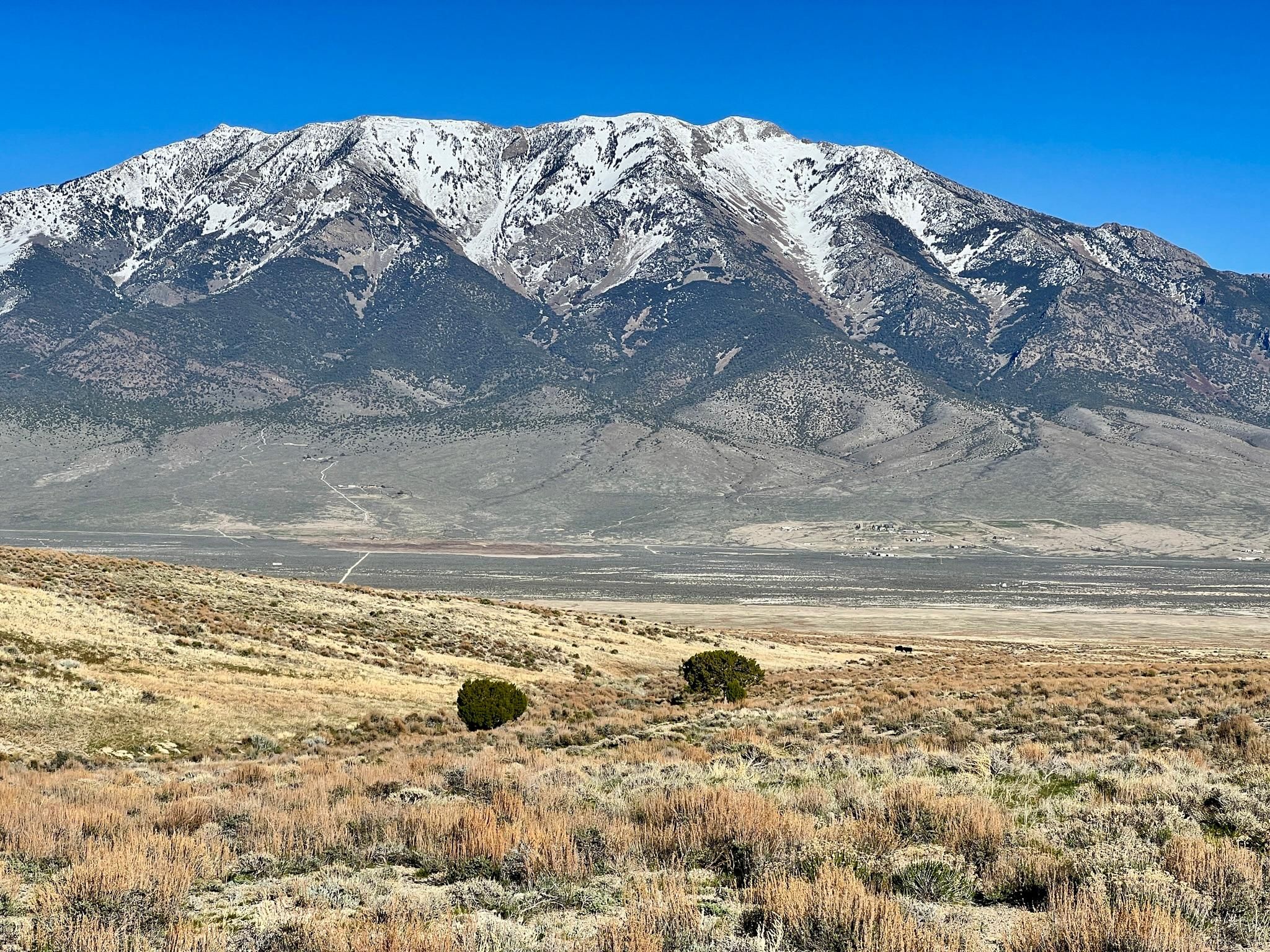 40.03 acres in Wells, NV, 89835 | Land and Farm