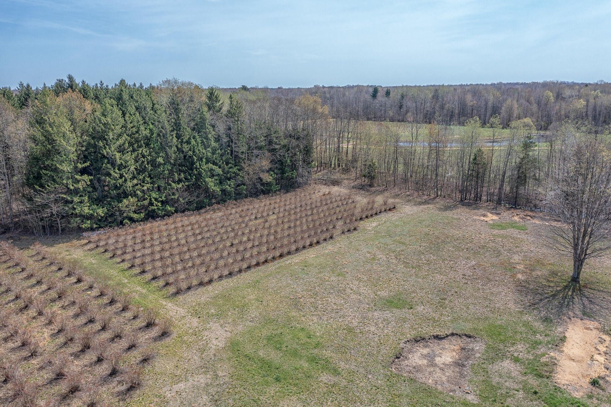 355 60th Street, Grand Junction, MI 49056 | MLS: 24019513 | Land and Farm