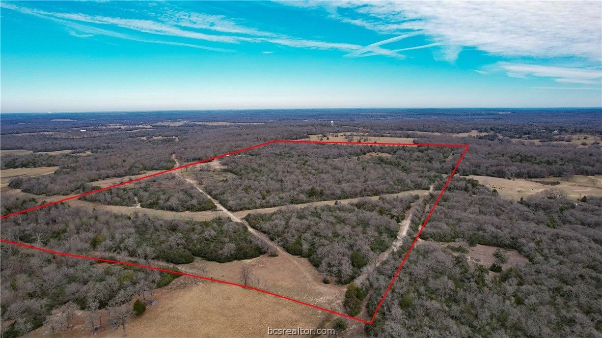 80 Acres, 2901 County Road 426, Marquez, TX 77865 | Land and Farm