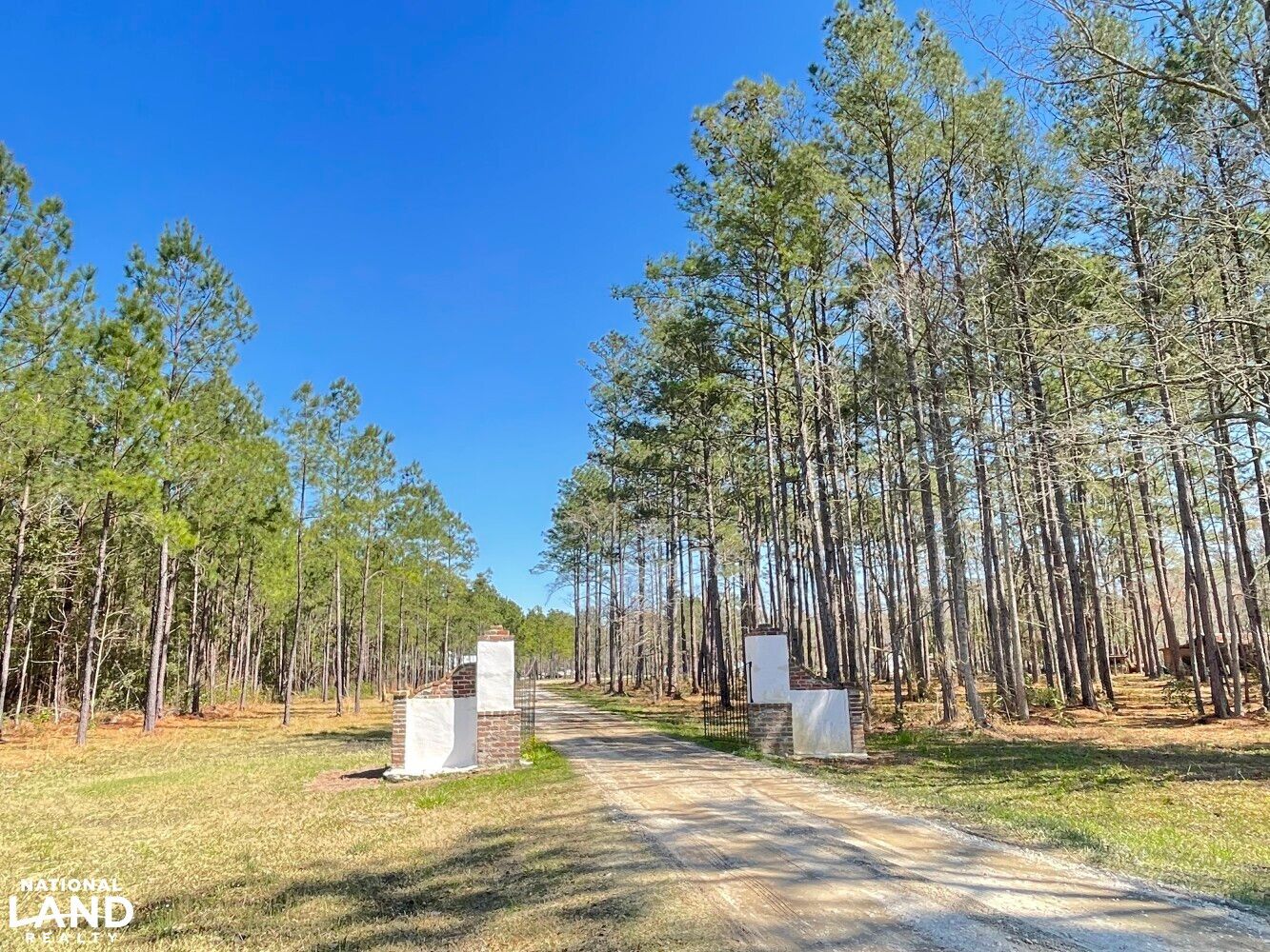 6521 South Island RD, Georgetown, SC 29440 | Land and Farm