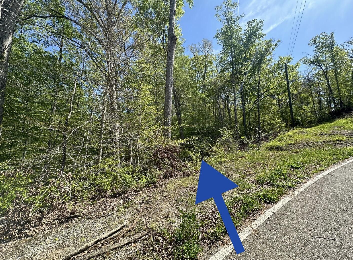 2728 Norton Rd Dandridge Tn 37725 Mls 300659 Land And Farm