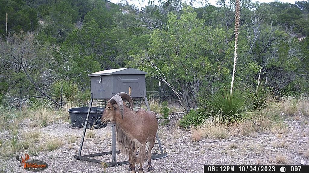 Ranch to Market Rd 2523, Rocksprings, TX 78880 | MLS: 113922 | Land and ...