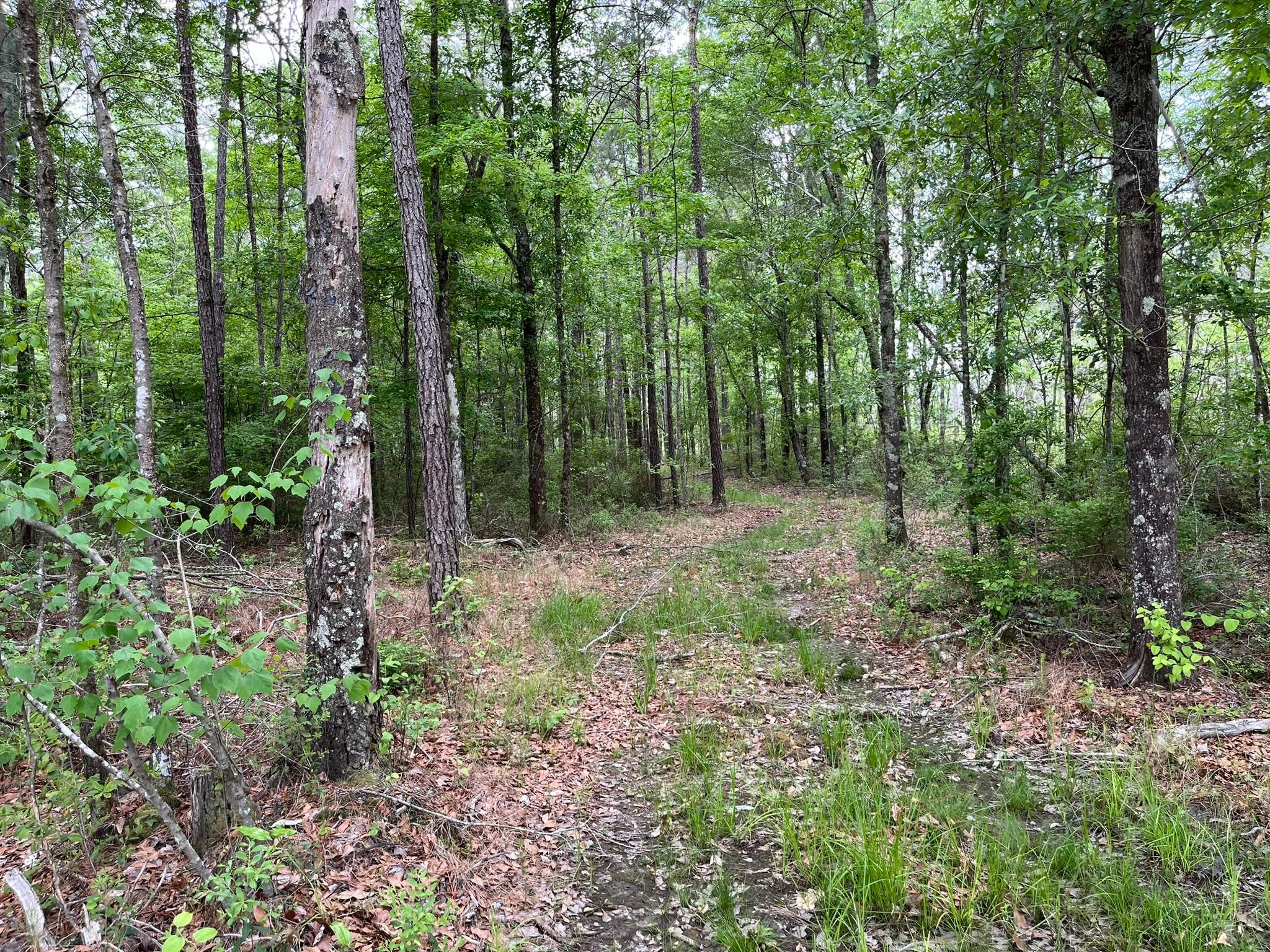 Cook Stand Rd, Rutledge, AL 36071 | Land and Farm