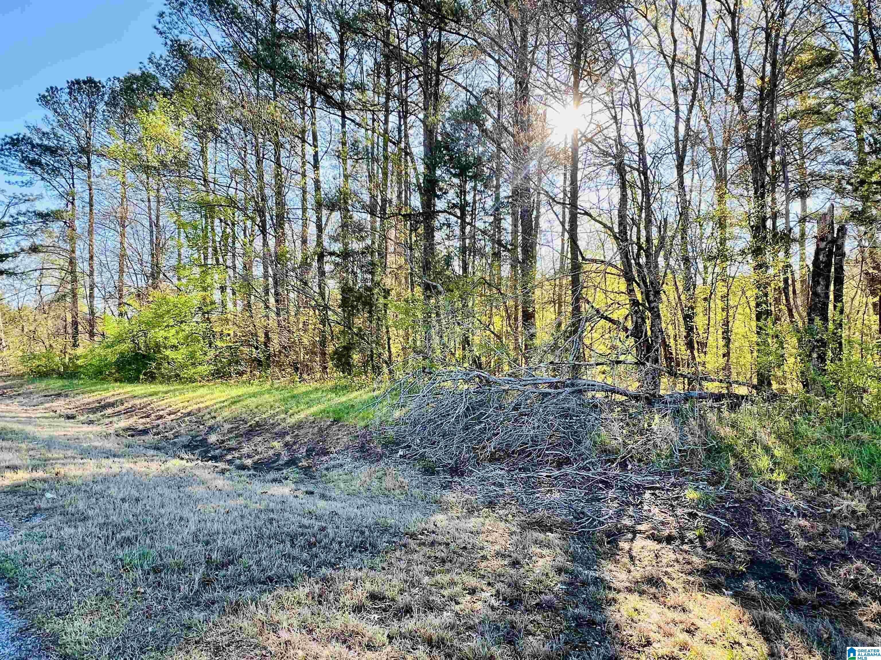 1.8 Acres, 0 HIGHWAY 75, Remlap, AL 35133 | Land and Farm