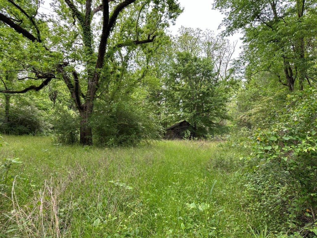 35 acres in Leland, LA, 71368 | Land and Farm