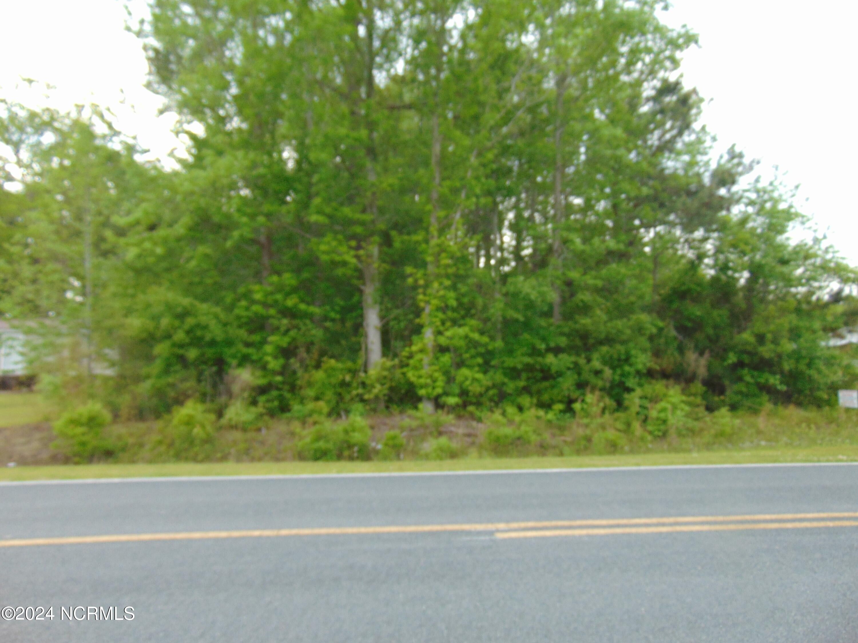 1.33 Acres, Lot 6 Minor Run Road, Edward, NC 27821 | Land and Farm