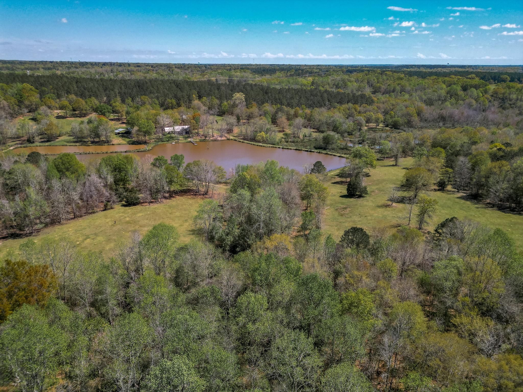 Chancey Drive, Ellaville, GA 31803 | Land and Farm