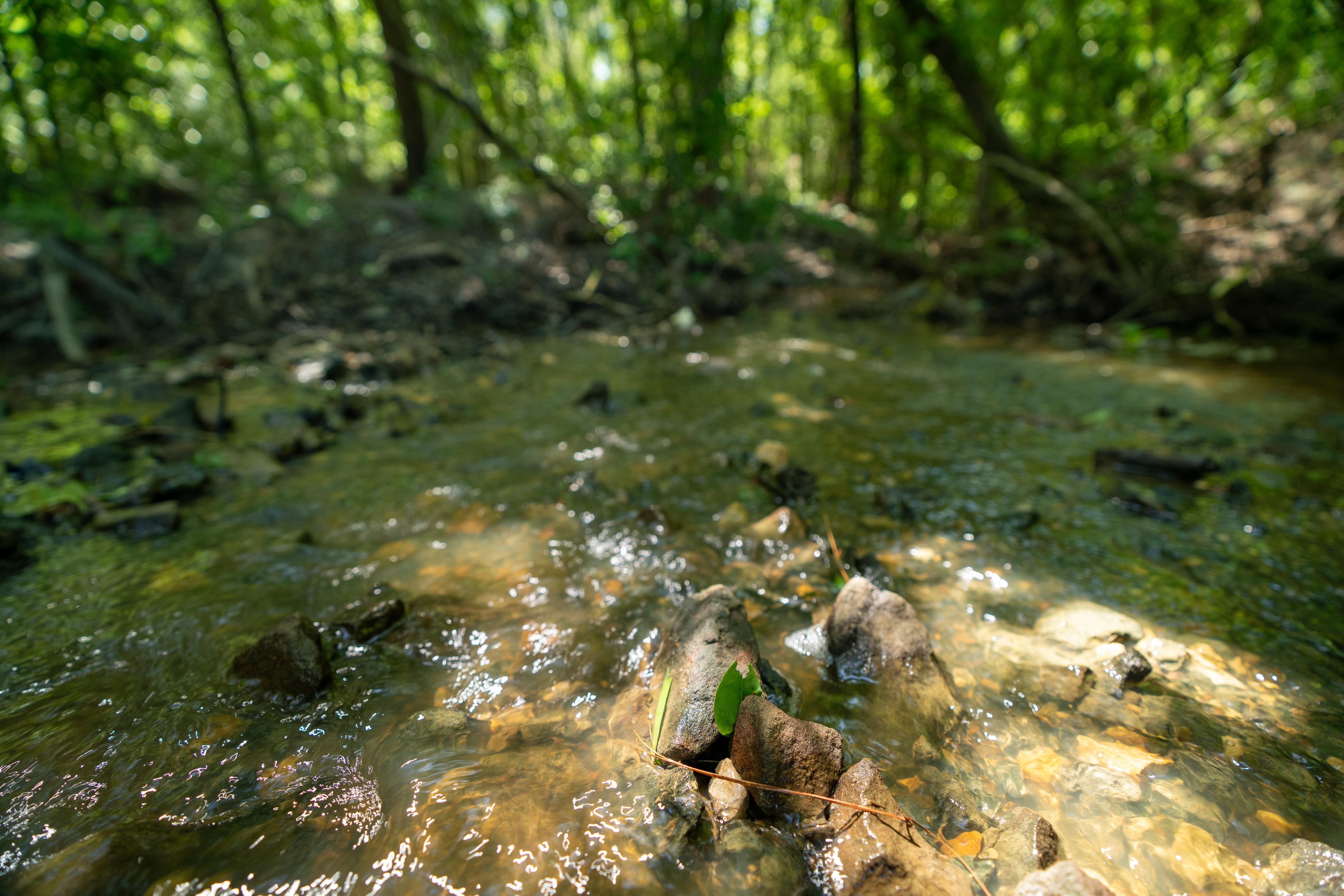 TBD County Road 4777, Timpson, TX 75975 | Land and Farm