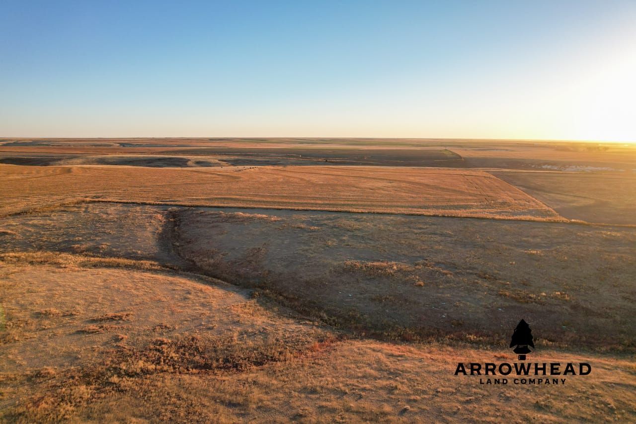 County Road 66, Quinter, KS 67752 | Land and Farm