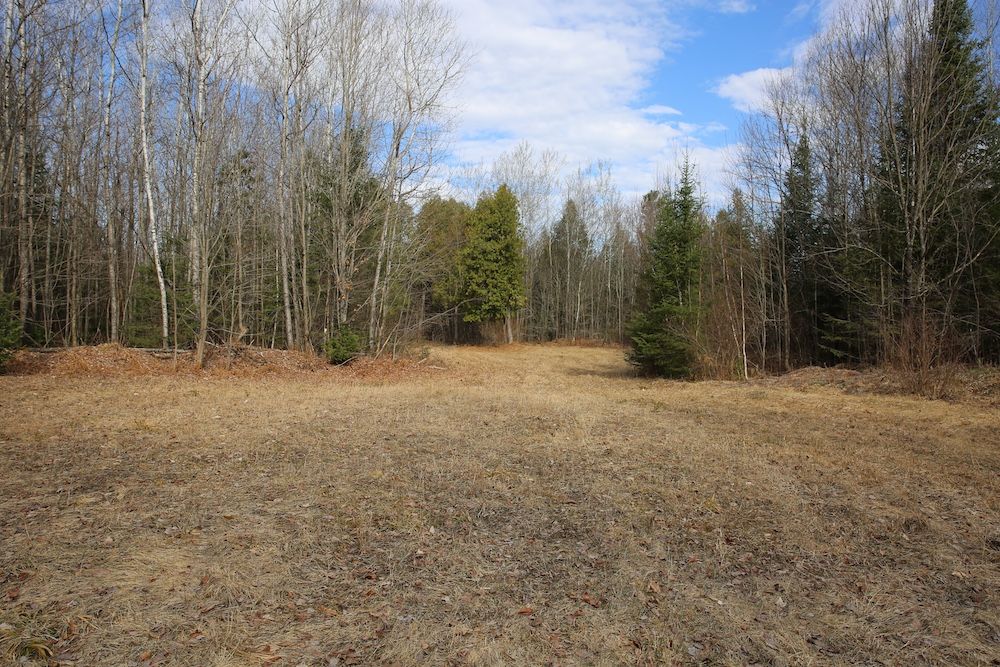Warren Road, Fifield, WI 54524 | Land and Farm