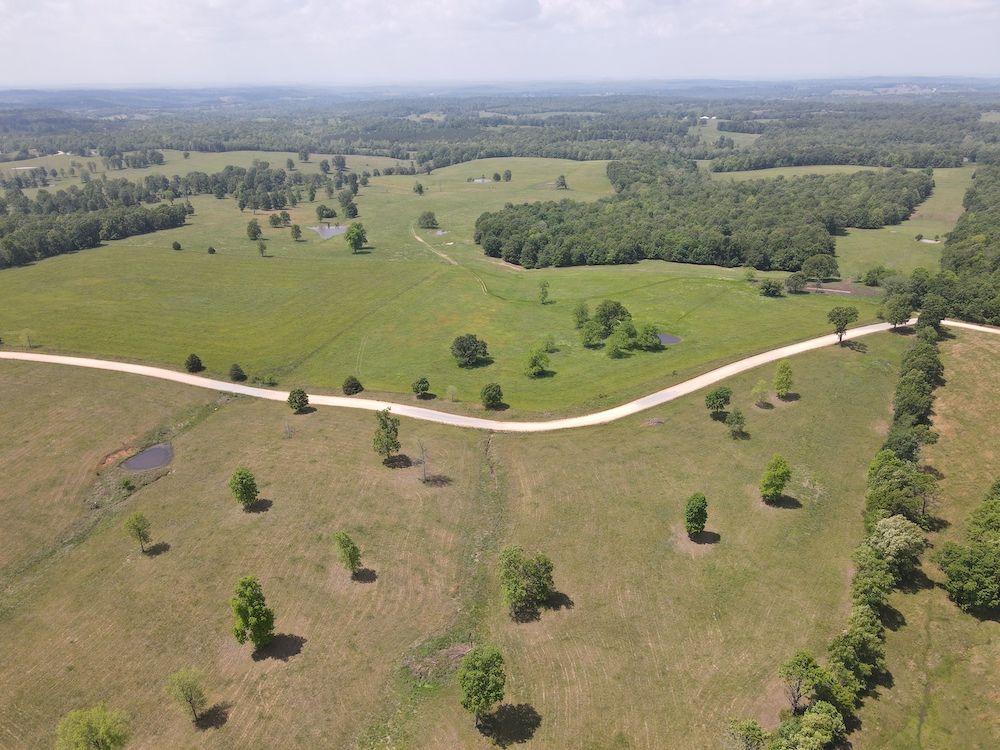 Flora Cemetery Rd, Viola, AR 72583 | Land and Farm