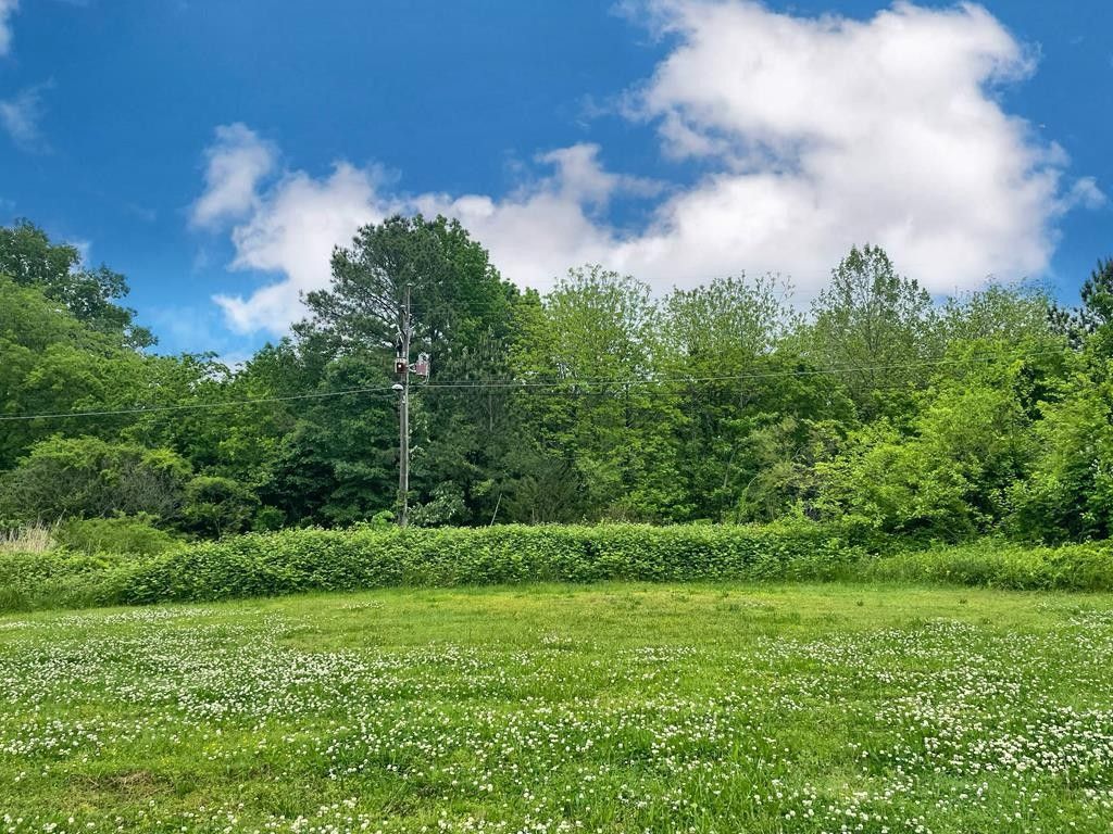 Lot 56 SIXTH STREET, Exmore, VA 23350 | MLS: 60476 | Land and Farm