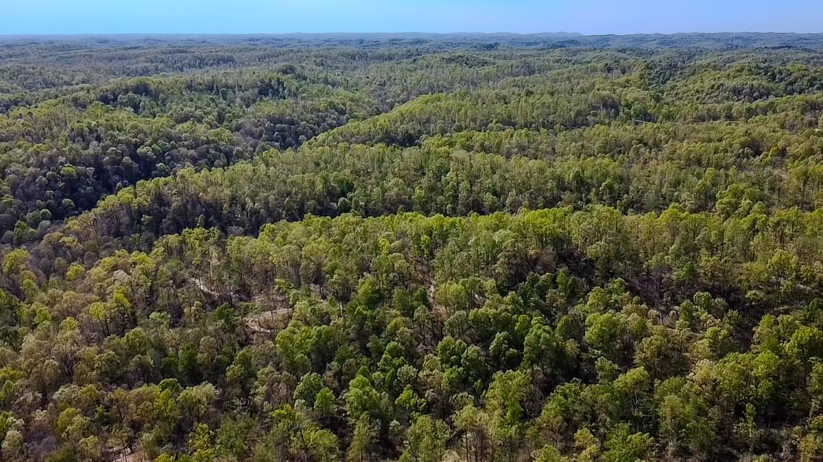 Spencer Ridge Road, Beattyville, KY 41311 | Land and Farm