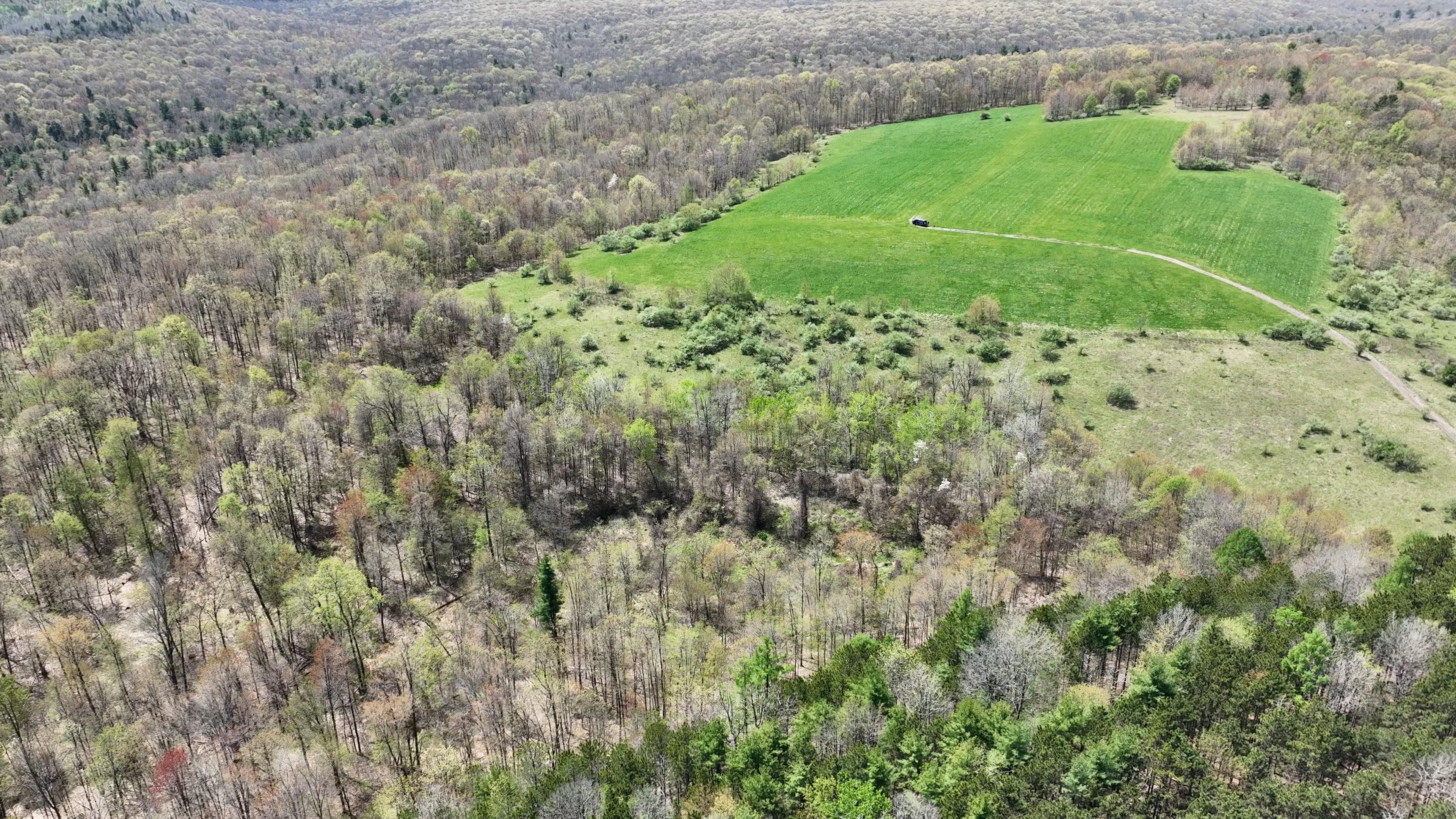 Rader Rd, West Decatur, PA 16878 | MLS: 14-1052 | Land and Farm