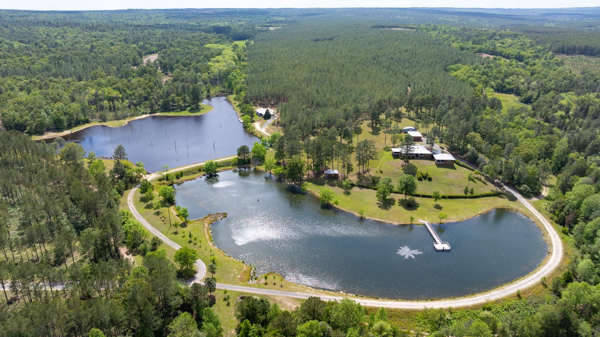 1240 Buena Vista Hwy, Mauk, GA 31058 | Land and Farm