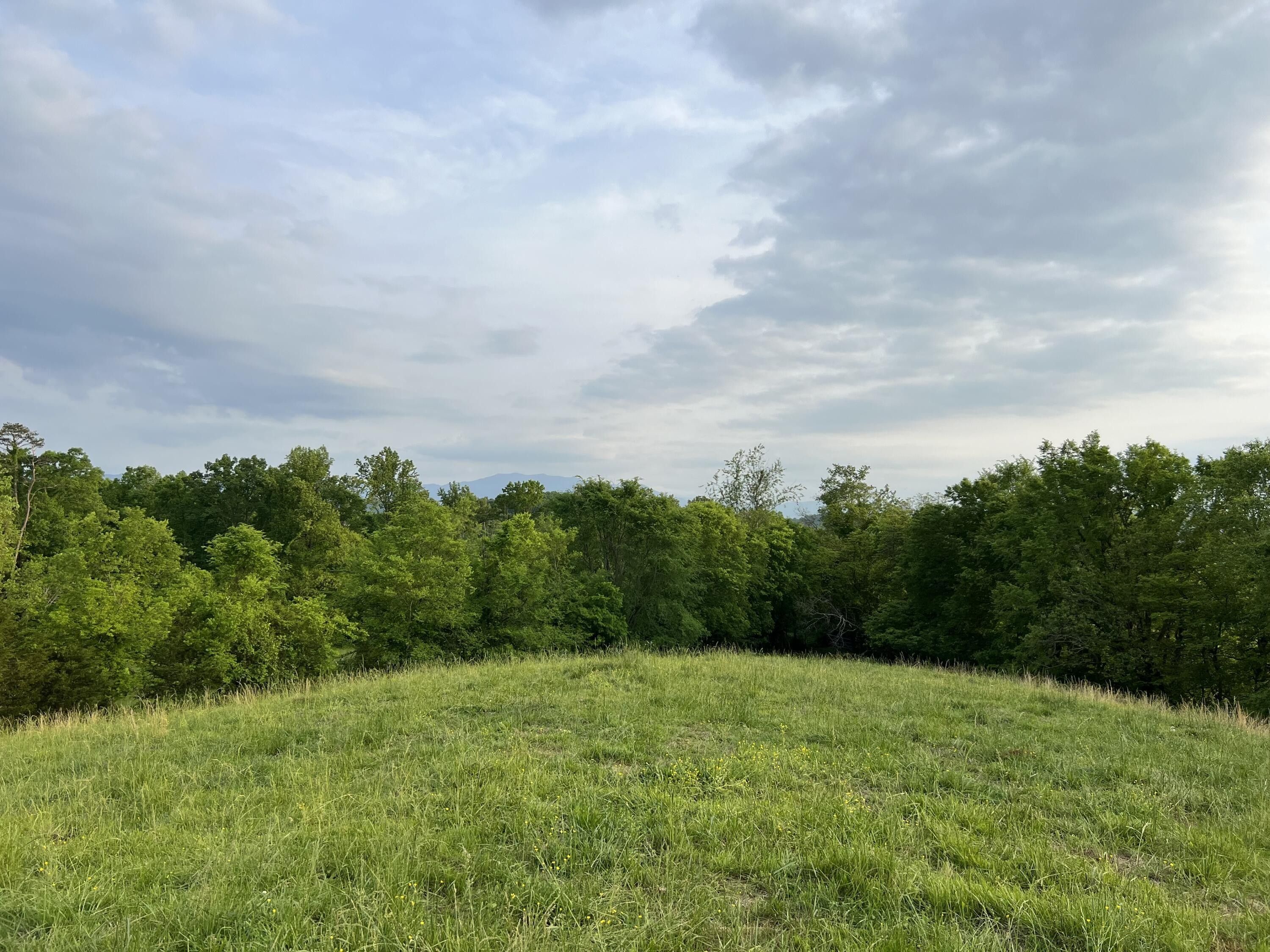 Lot 16 Sharp Road, Sevierville, TN 37876 | MLS: 300947 | Land and Farm