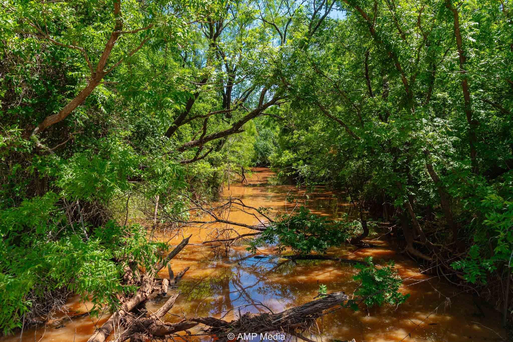 659-563 Co Rd 378, Merkel, TX 79536 | Land and Farm