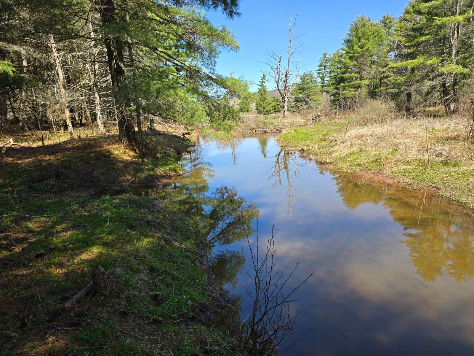 0WP Co Hwy 6, Otego, NY 13825 | MLS: 11274716 | Land and Farm